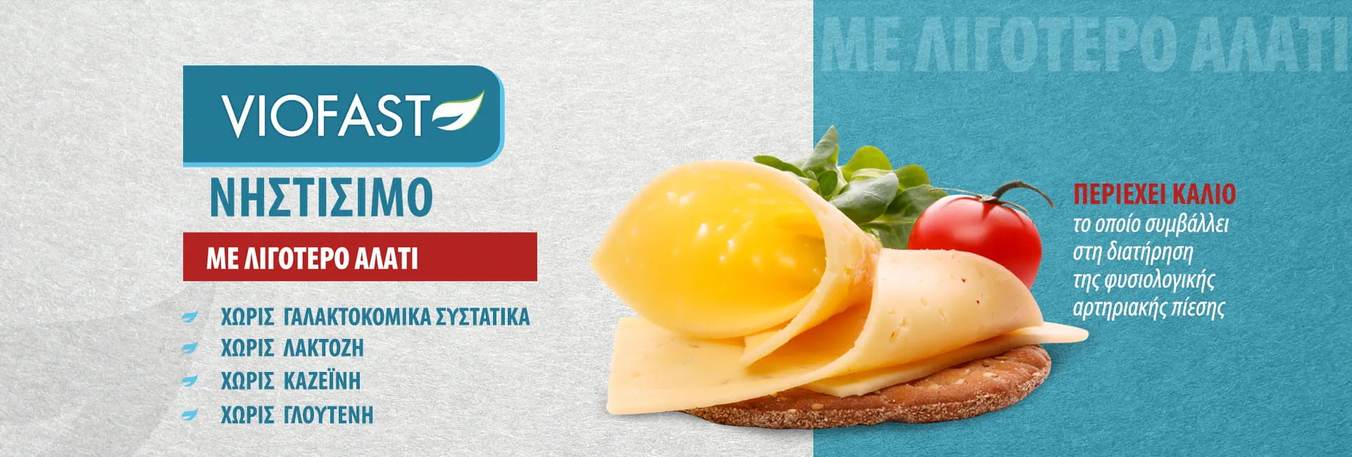 VIOFAST ΝΗΣΤΙΣΙΜΟ
